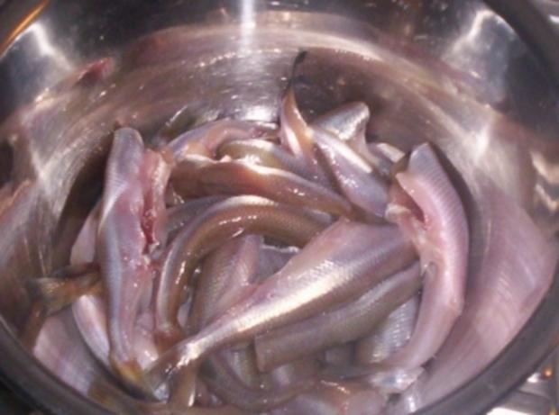 Gebratene Stinte - Rezept mit Bild - kochbar.de