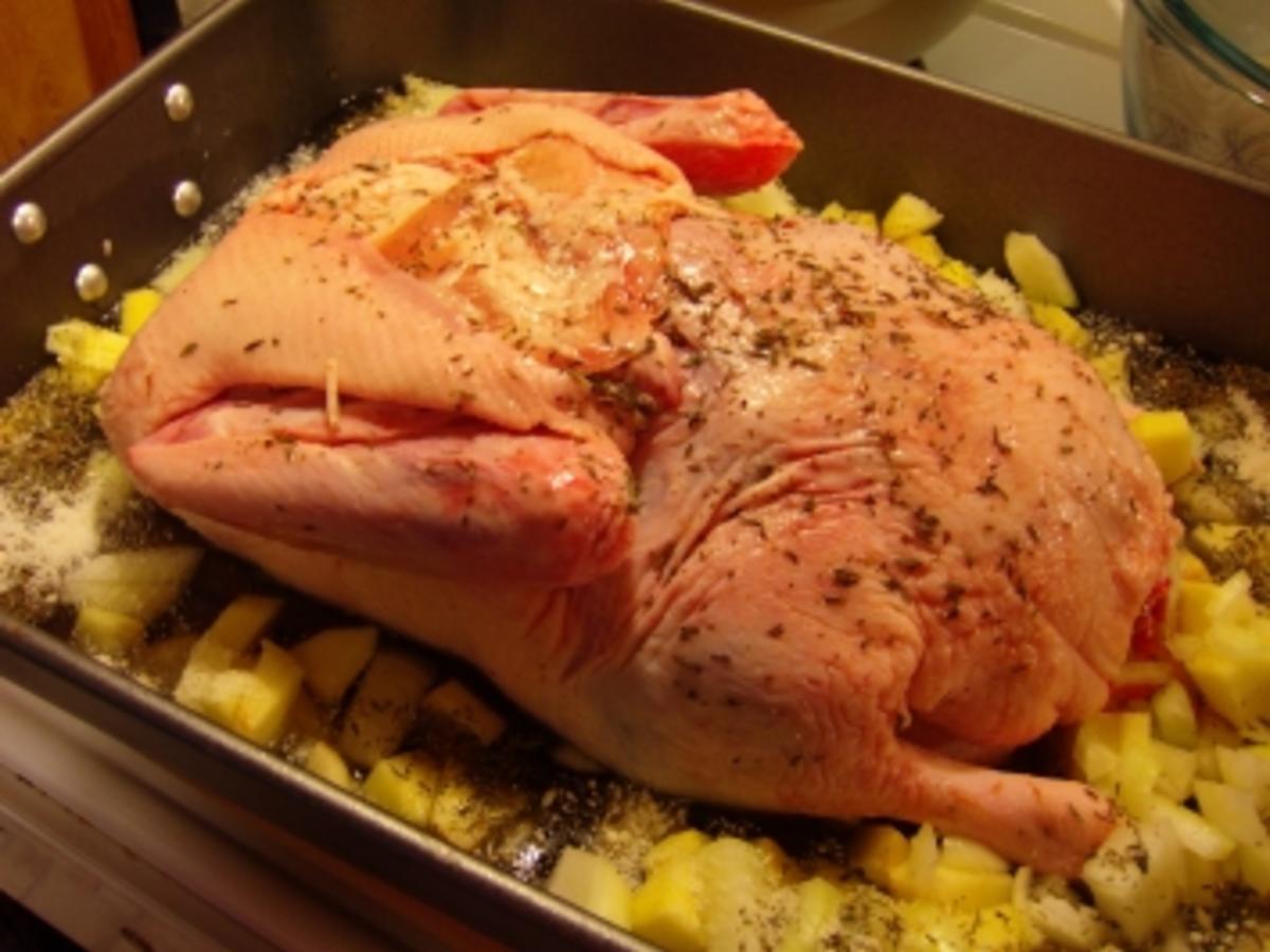 Apfel Thymian Ente, mit Rotkohl und Böhmischen Knödeln - einfach - 81 ...