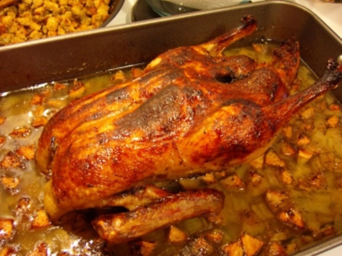 Apfel Thymian Ente, mit Rotkohl und Böhmischen Knödeln - einfach - 81 ...