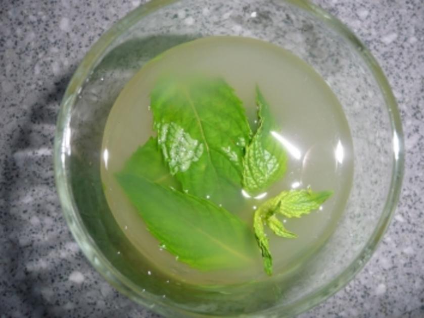 Ginger Burn von Dr Fischer Rezepte