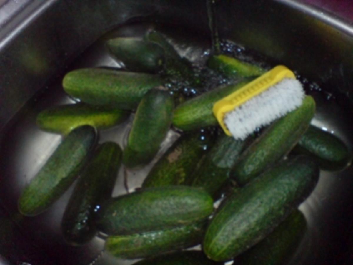 Salzgurken - einfach - von loewe_bs