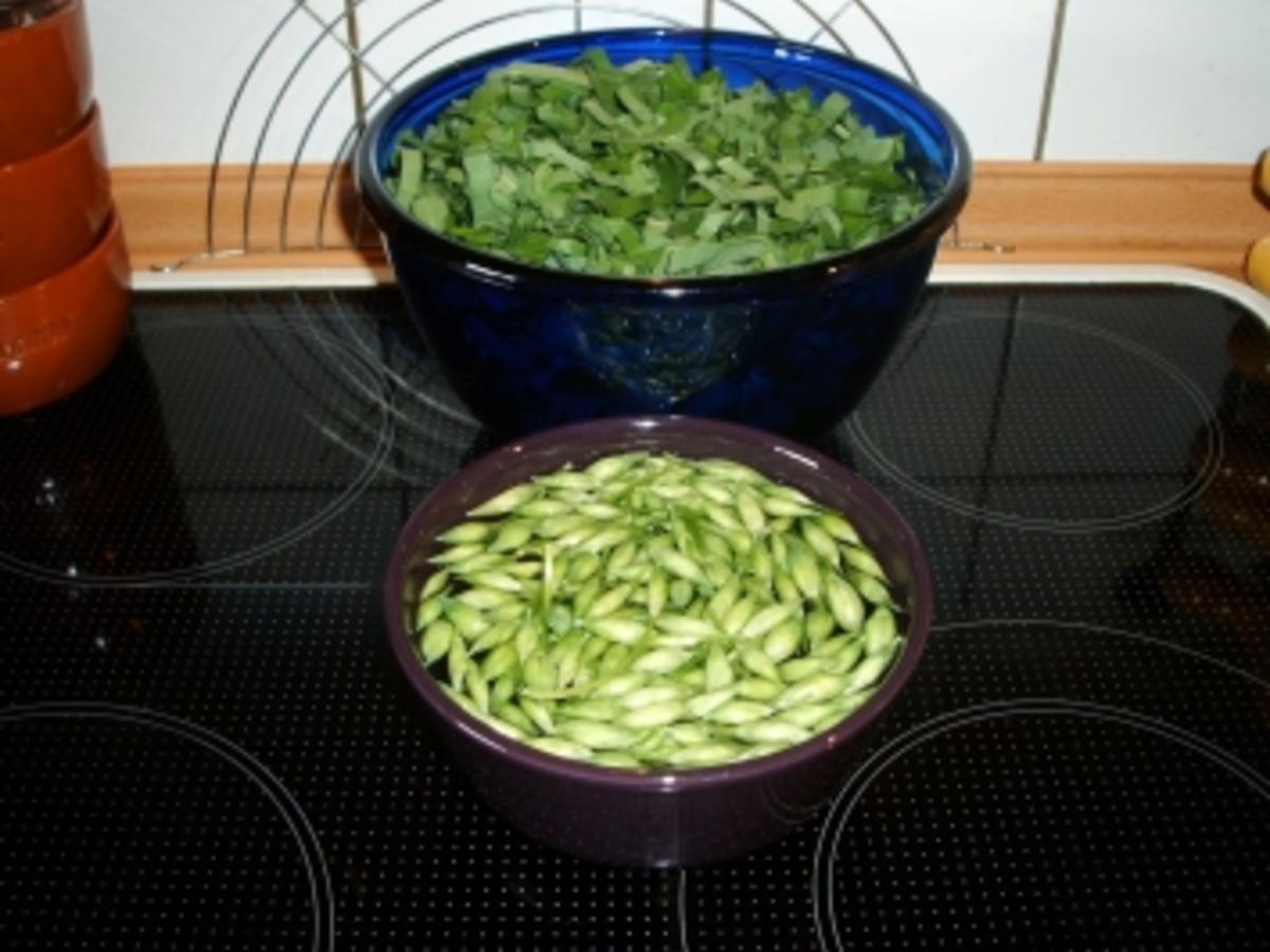 Bärlauchpesto - schnell & einfach - 299 kcal/100g