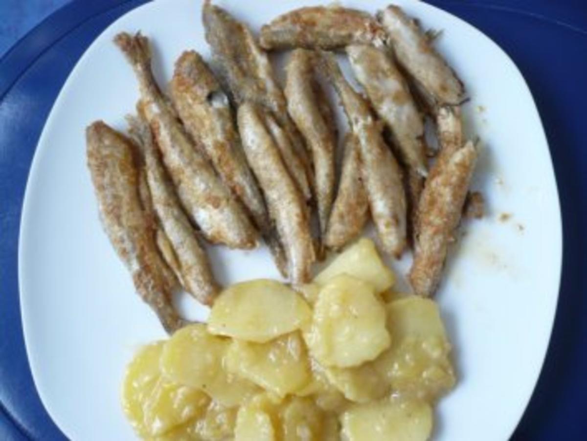 Stint ---kleiner silbriger Fisch---- - Rezept mit Bild - kochbar.de