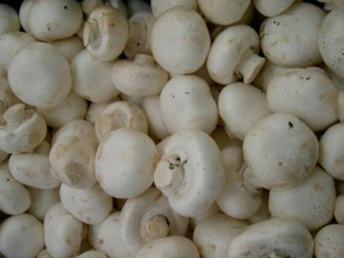 Gefüllte Riesen Champis mit Bulgarischen Schafskäse scharf - einfach ...