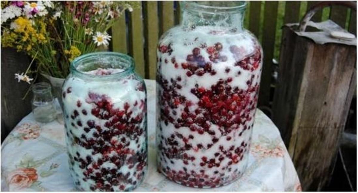 Visinata, feinster Rumänischer Sauerkirschlikör - Rezept - kochbar.de