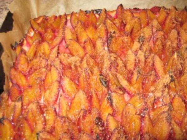 Zwetschgen Datschi - einfach - 236 kcal/100g