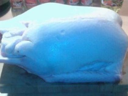 Gans mit Rotkraut und Knödel - Rezept mit Bild - kochbar.de