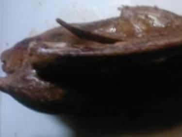 Gans mit Rotkraut und Knödel - Rezept mit Bild - kochbar.de