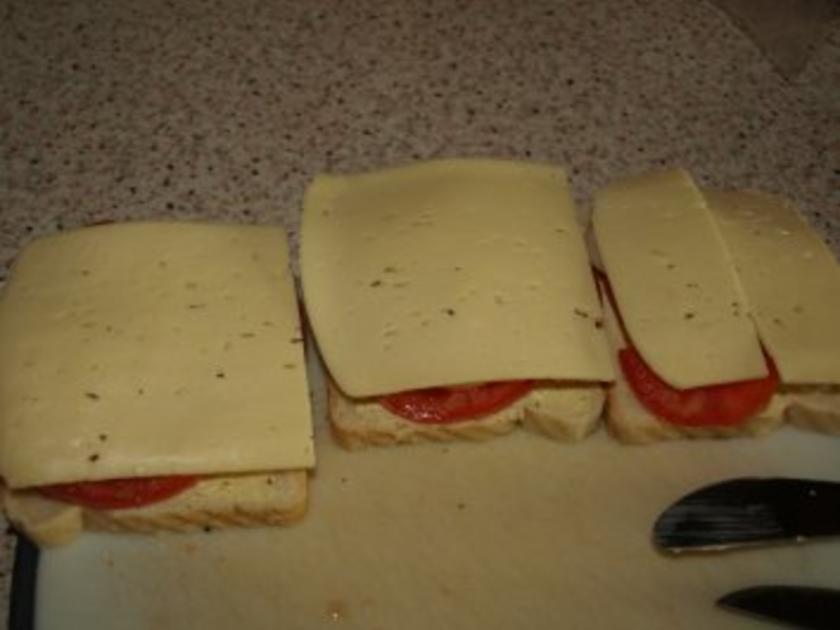 Tomaten Zwiebel Toast überbacken - einfach - 628 kcal/100g