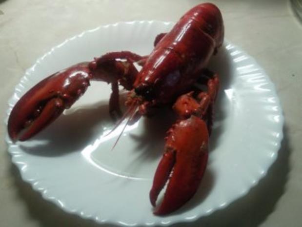 Hummer man gönnt sich ja sonst nichts..... - Rezept mit Bild - kochbar.de