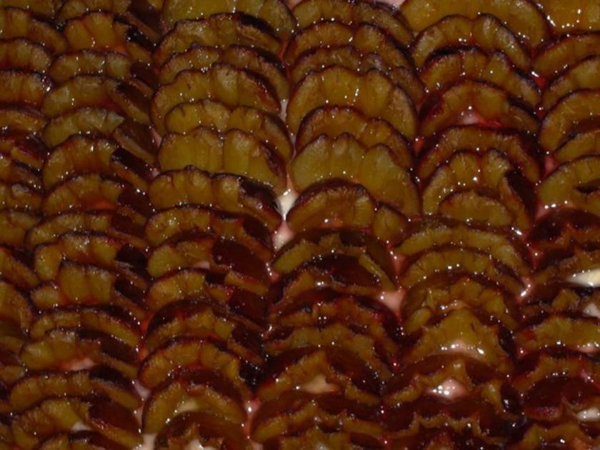 Omas Pflaumenkuchen vom Blech Quark-Öl Teig - einfach - 238 kcal/100g