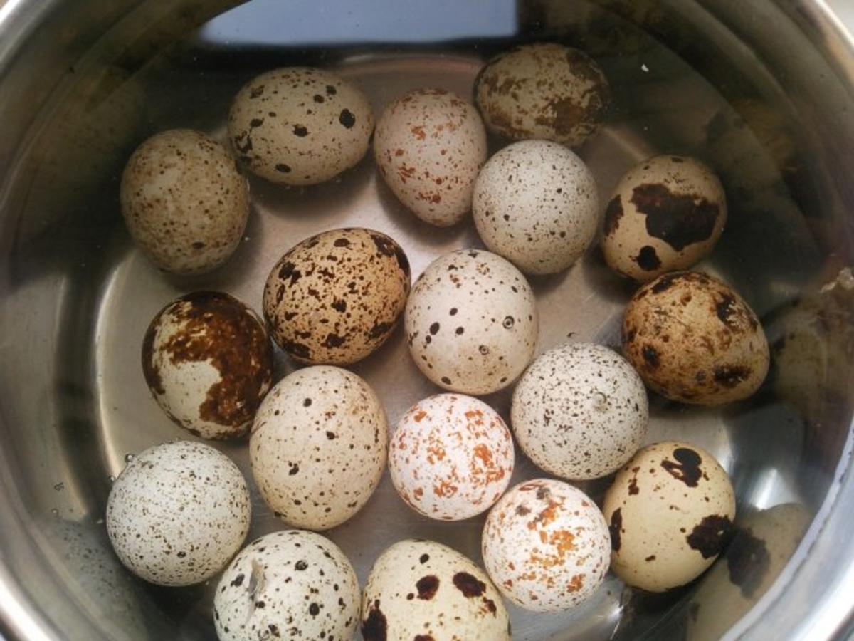 Wachteleier eingelegt - einfach - 107 kcal/100g