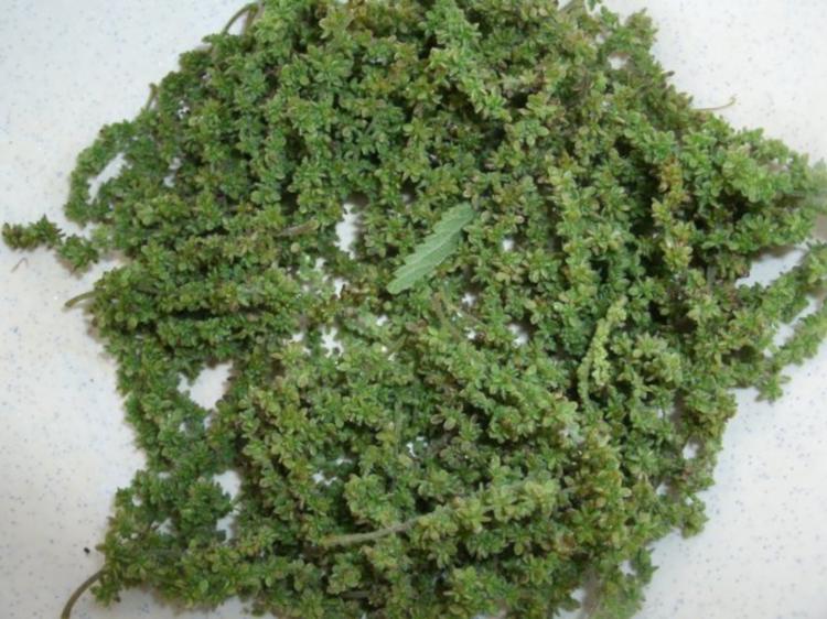 Brennesselsamen- Croutons - Rezept mit Bild