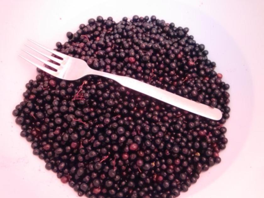 Holunderbeersaft - einfach - von erdbeere1706