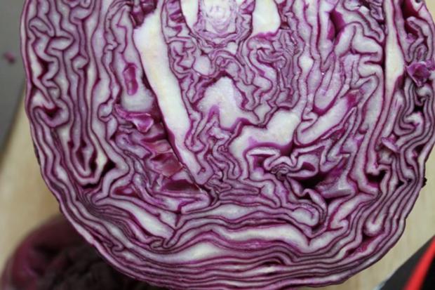 Rotkraut mit Kopf Rotkraut und Himbeeressig - Rezept mit Bild - kochbar.de