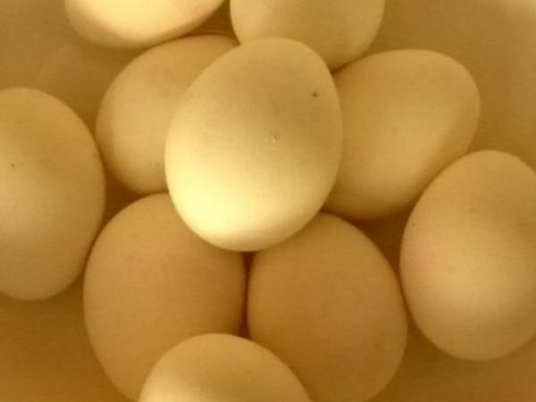 Soleier mit Eier und Wasser - Rezept mit Bild