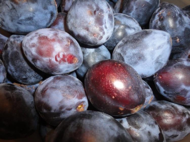 Powidl a la emari - einfach - von emari