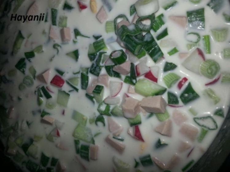 Russische kalte Suppe Okroschka - schnell & einfach - 29 kcal/100g