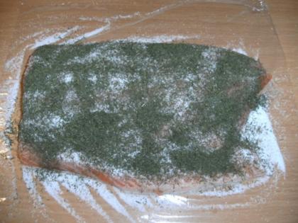 Fisch: Graved Lachs Version 1 - einfach - von goach