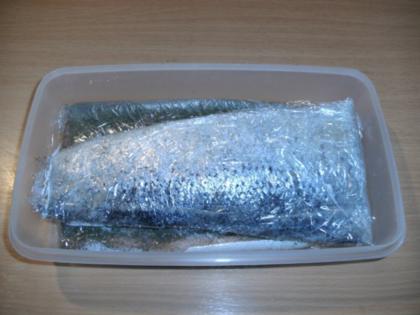 Fisch: Graved Lachs Version 1 - einfach - von goach