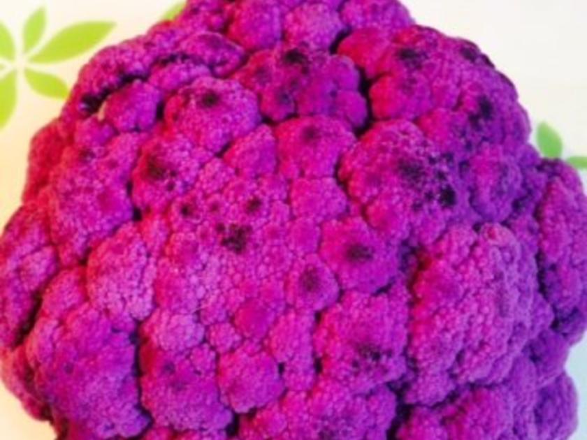 Blumenkohl Wird Lila Rezepte
