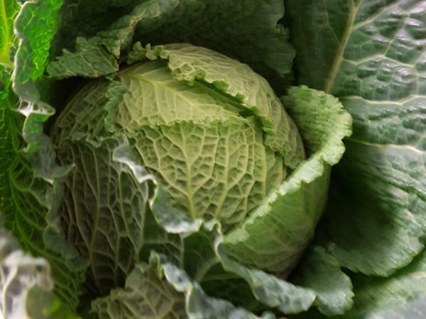 Wirsing mit Bratwurst - einfach - von cockingcool