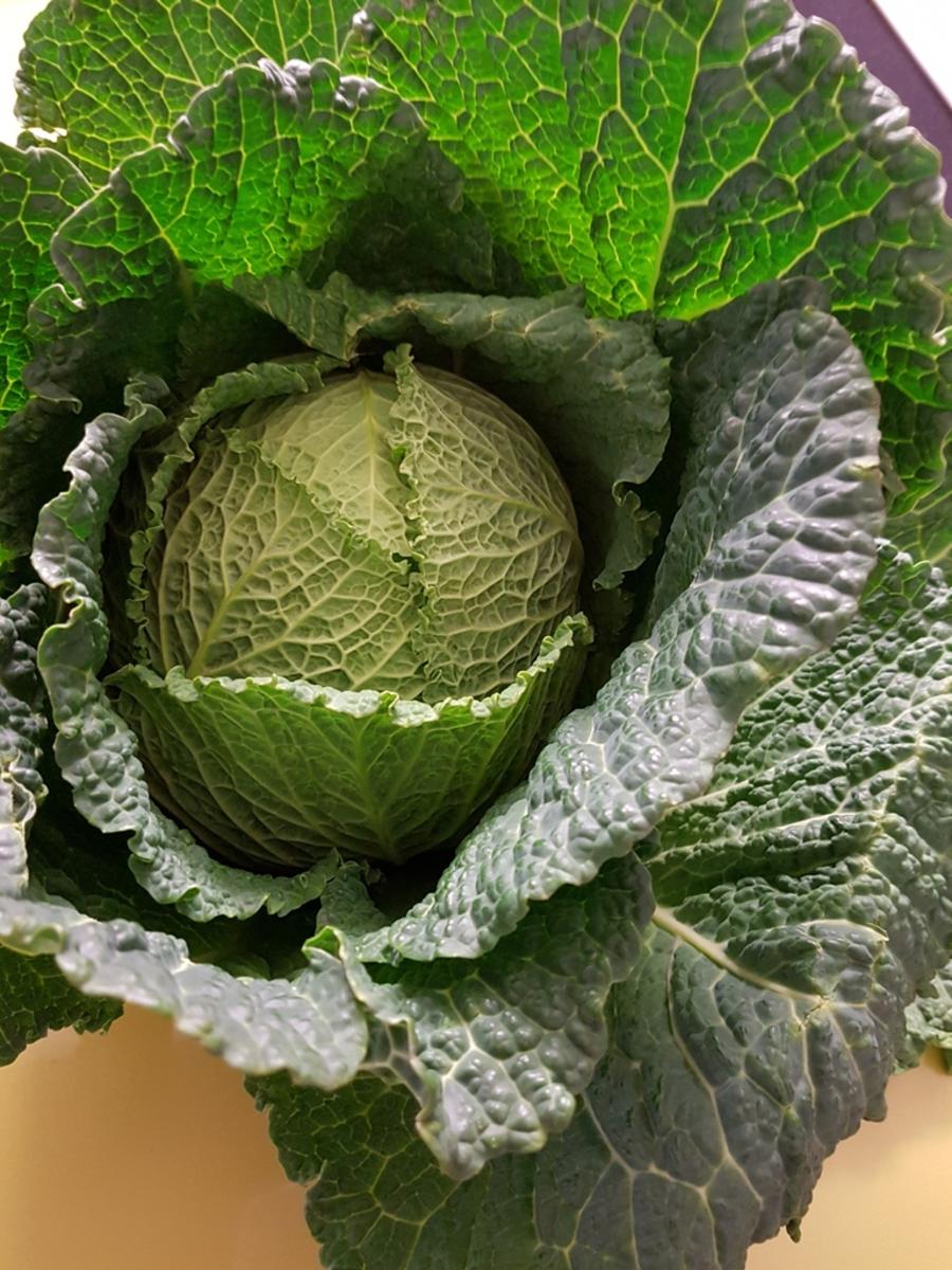 Wirsing als OnePot und etwas edler zubereitet - Rezept - kochbar.de