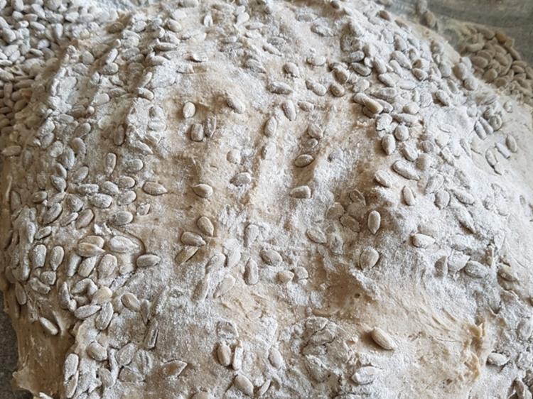 Roggenmischbrot mit Sonnenblumenkernen - Rezept - kochbar.de