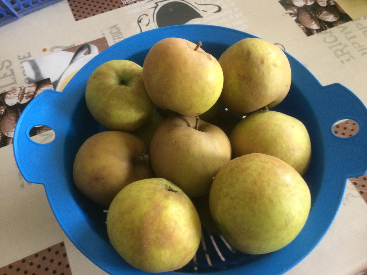 Apfelmarmelade - einfach - von schildi70