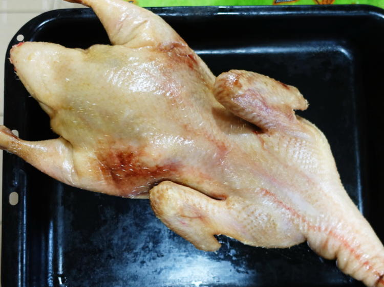 Peking Ente - von Antareja