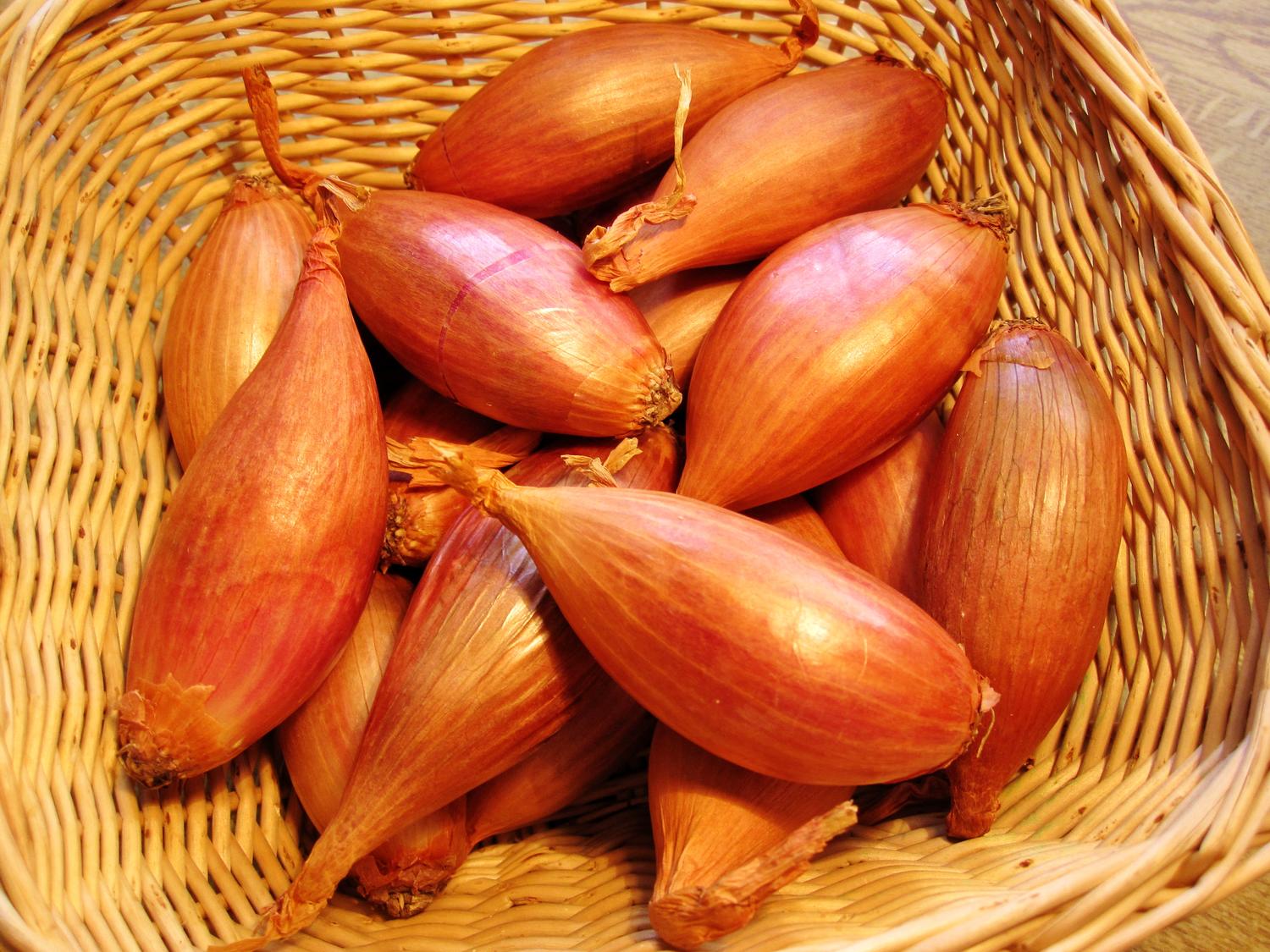 Schalotten schälen - Tipp mit Bild - kochbar.de